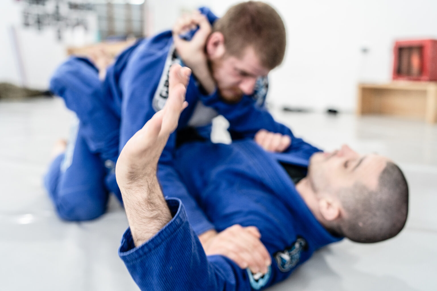 Brazilian Jiu-Jitsu: The Complete Guide to Ground Fighting