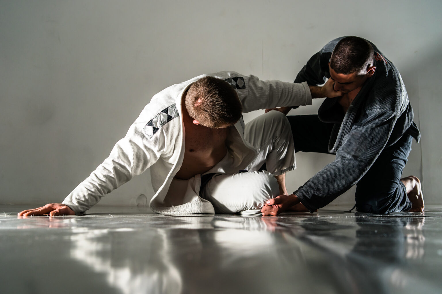 Brazilian Jiu-Jitsu: The Complete Guide to Ground Fighting