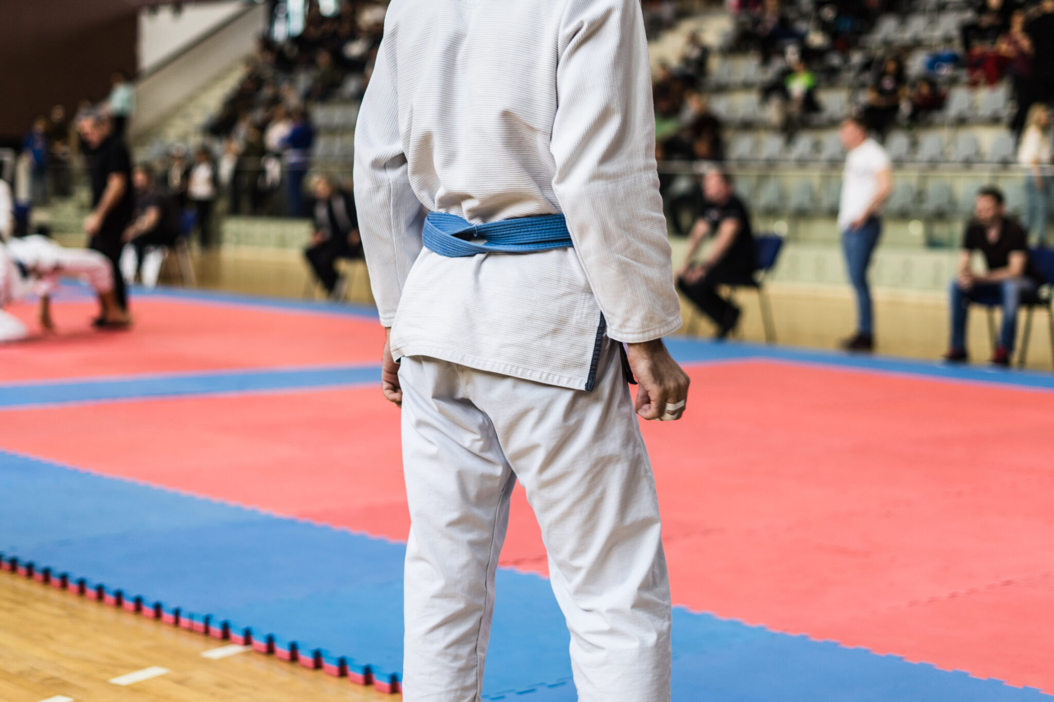 Brazilian Jiu-Jitsu: The Complete Guide to Ground Fighting