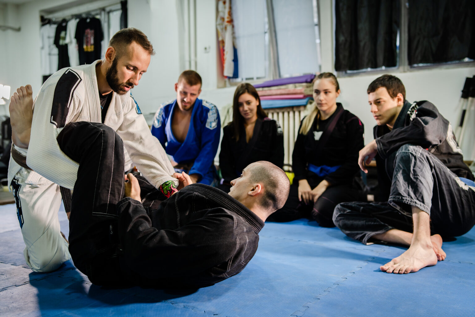Brazilian Jiu-Jitsu: The Complete Guide to Ground Fighting